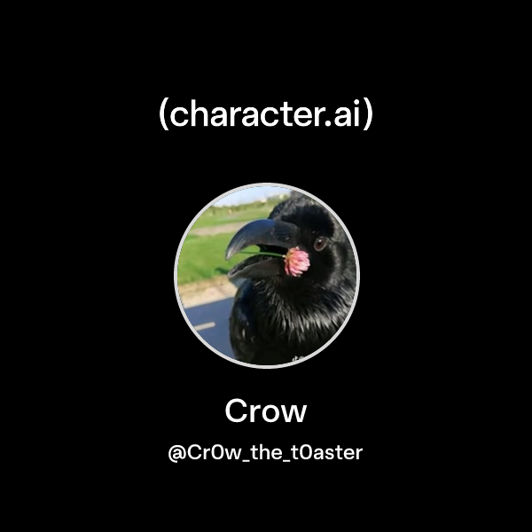 Crow (@Cr0w_the_t0aster) | character.ai | Personalized AI for every ...