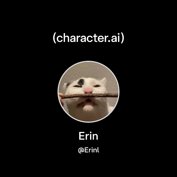 Erin (@Erinl) | character.ai | Personalized AI for every moment of your day