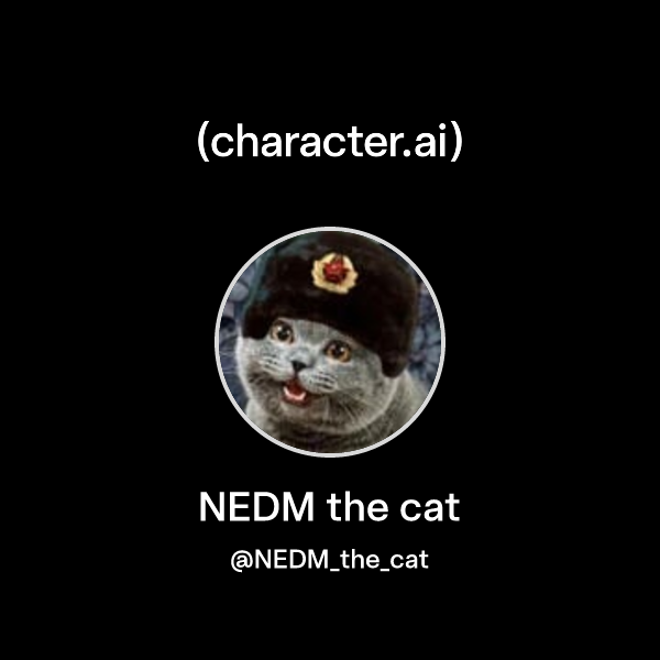 NEDM the cat (@NEDM_the_cat) | character.ai | AI Chat, Reimagined–Your ...