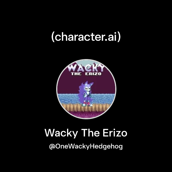 Wacky The Erizo (@OneWackyHedgehog) | character.ai | AI Chat ...