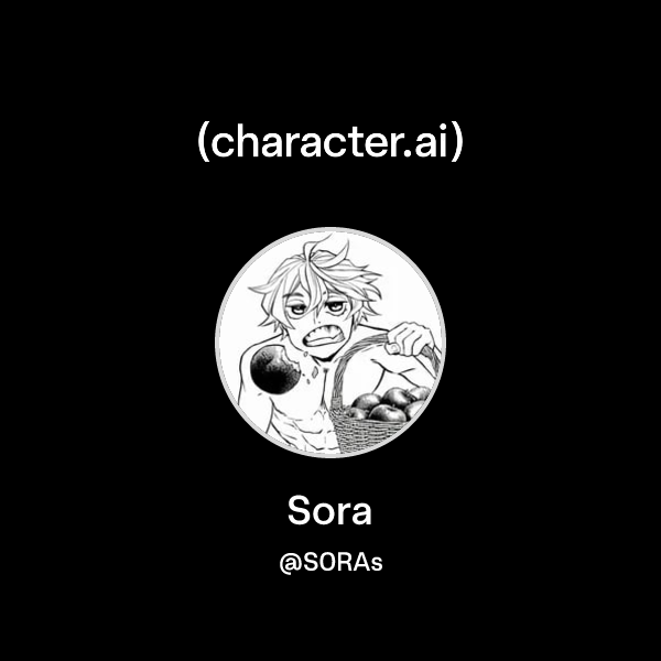 Sora (@S0RAs) | character.ai | AI Chat, Reimagined–Your Words. Your World.
