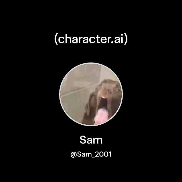 Sam (@Sam_2001) | character.ai | AI Chat, Reimagined–Your Words. Your ...