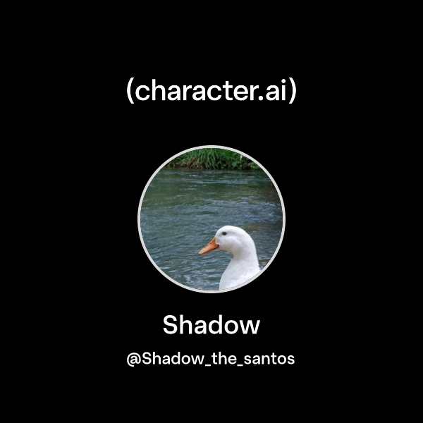 Shadow (@Shadow_the_santos) | character.ai | AI Chat, Reimagined–Your ...