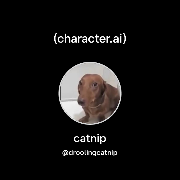 catnip (@droolingcatnip) | character.ai | AI Chat, Reimagined–Your ...
